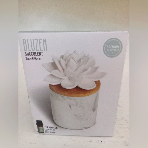 bluzen | Accents | Succulent Stone Diffuser W Eucalyptus Oil | Poshmark